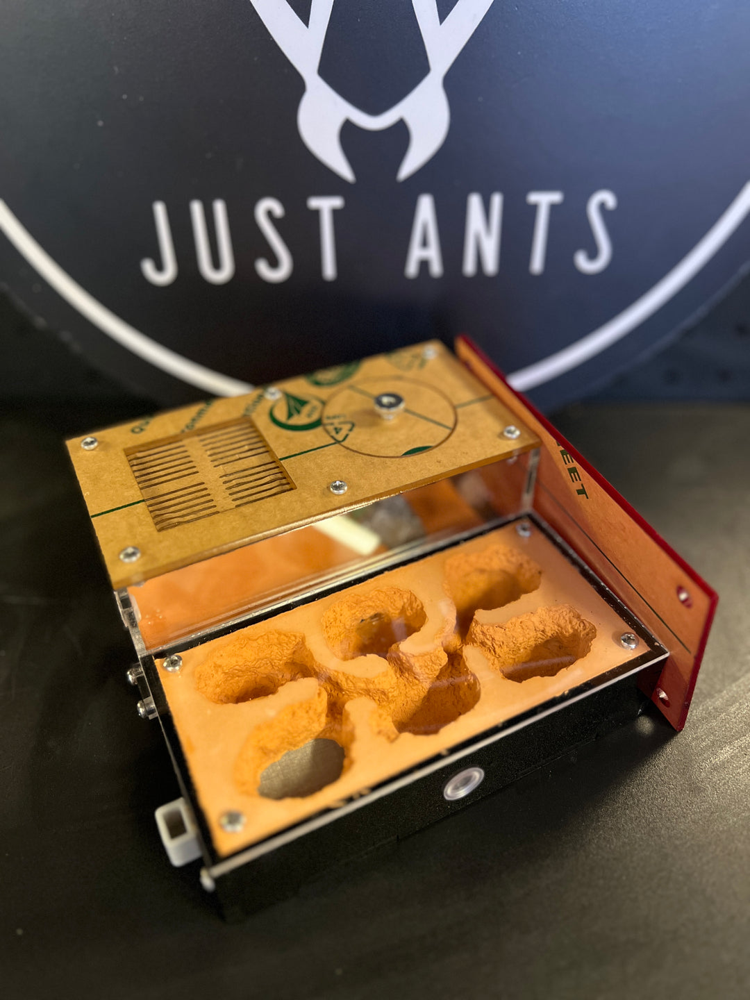 Small Plaster Nest Formicarium – Just Ants