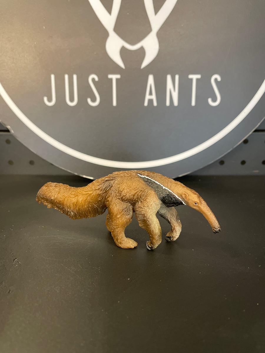 Ant Eater Toy – Just Ants