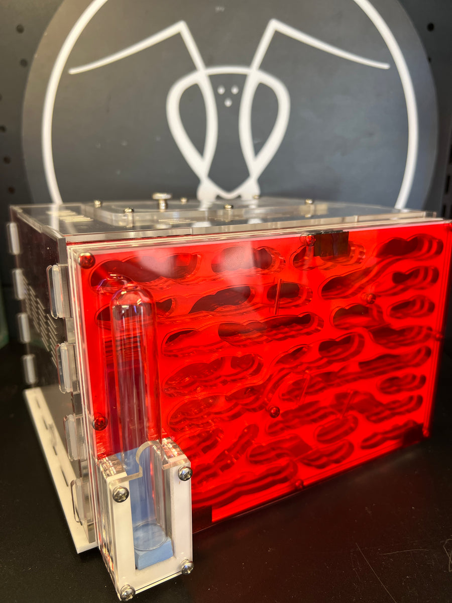 Large Rectangular Acrylic Formicarium – Just Ants