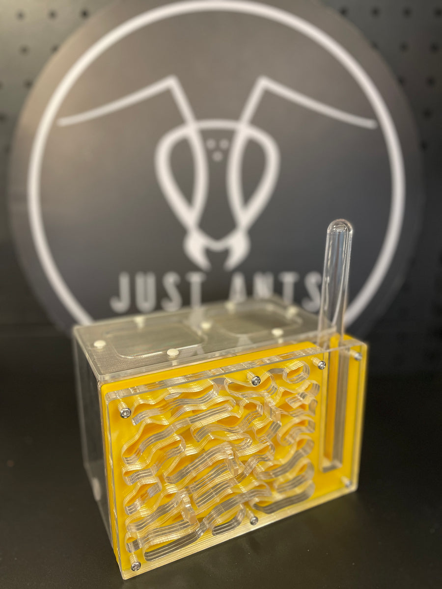 Medium Acrylic Formicarium with Chamber Blocker – Just Ants