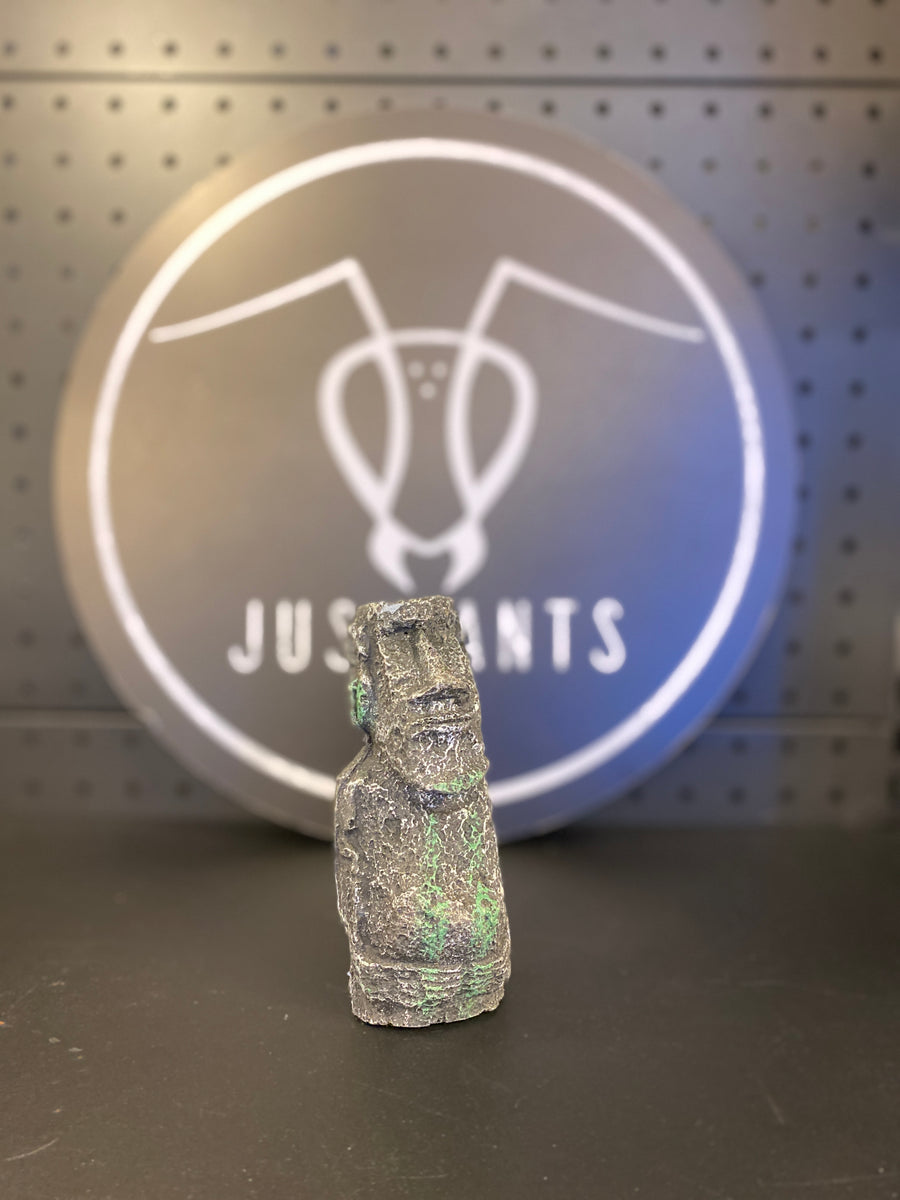 Small Moai Figurine – Just Ants