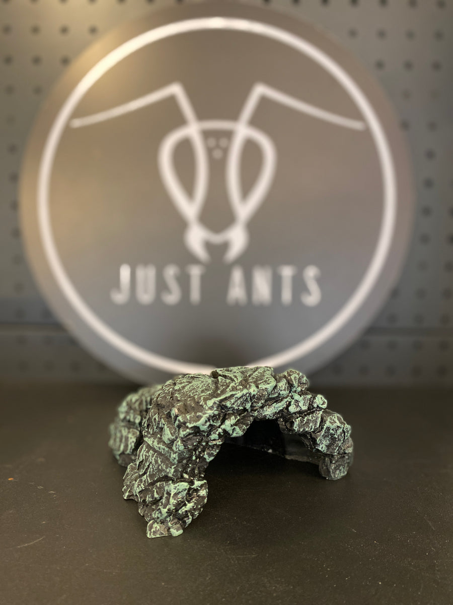 Big Cave – Just Ants