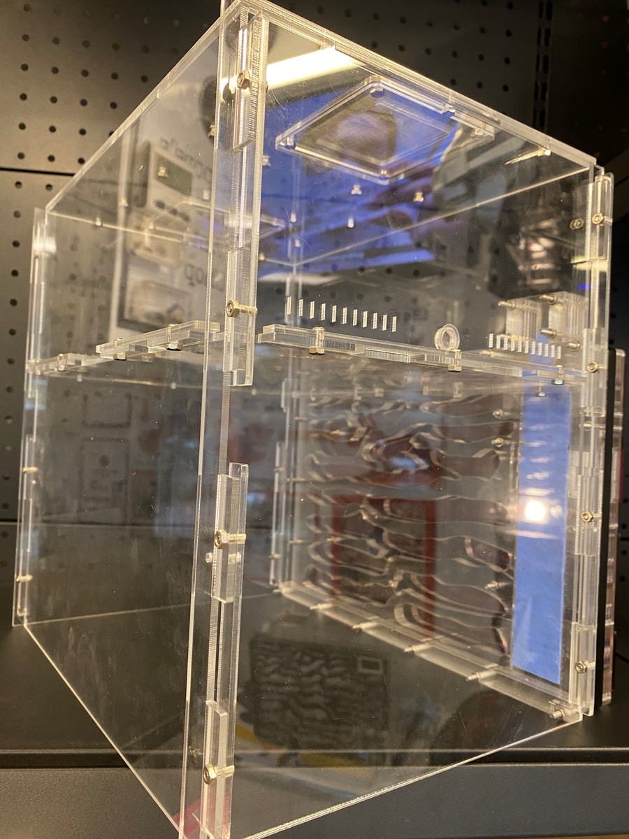 Extra Large Formicarium with Magnetic Red Acrylic Cover – Just Ants